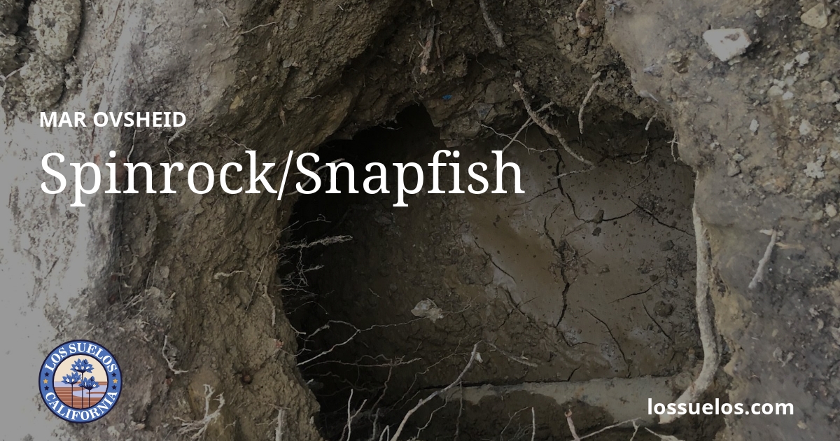 Spinrock/Snapfish - Los Suelos